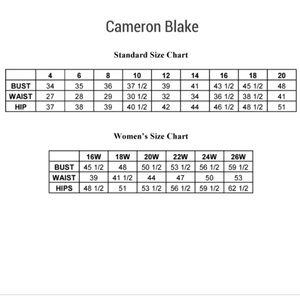 Cameron Blake | Dresses | Cameron Blake Ribbon On Tull Gown | Poshmark